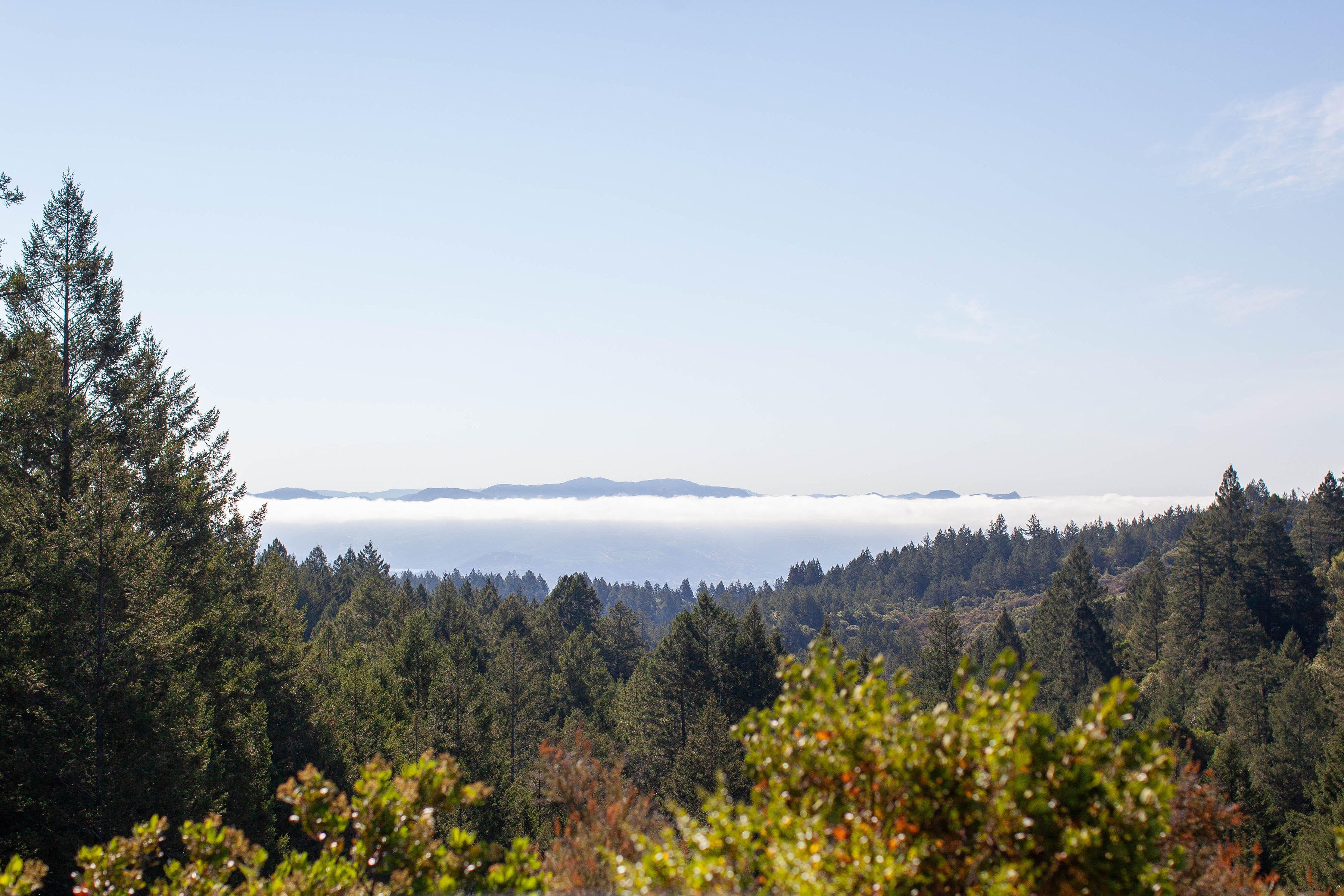 IN CONVERSATION: JARED & VELISA PICKARD OF BE HERE FARM + NATURE – Sun ...