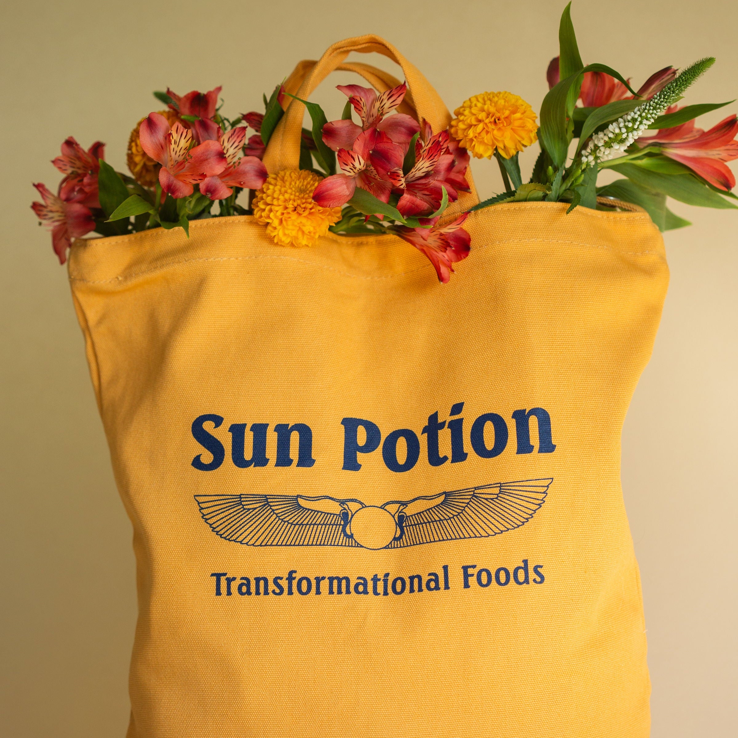 Natural Supplements & Organic Superfoods – Sun Potion